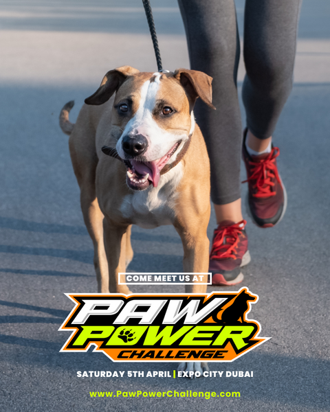 Paw Power Challenge: Fun Run with your dog & Family Friendly Event ...